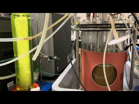 VIA's 3 MA Fermentation & Capture