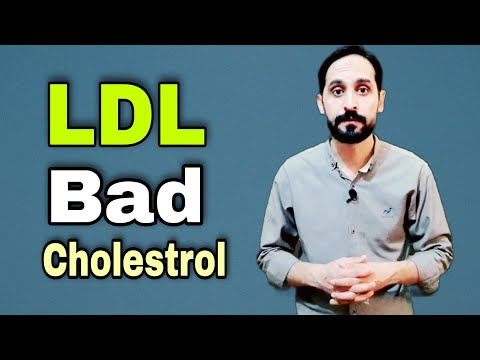LDL Blood Test | How to Calculate LDL | High and Low Causes | Treatment of High LDL