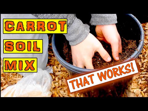 How to Grow Carrots in Pots (UK) | The Best Compost Mix!