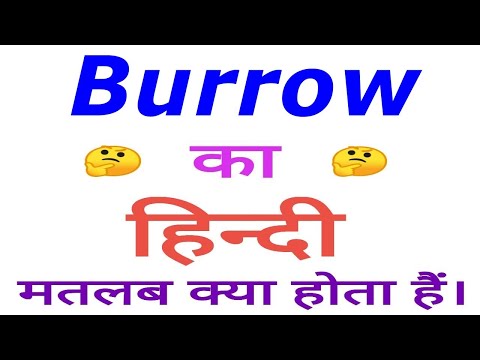 Burrow meaning in hindi | Burrow ka matlab kya hota hai | Burrow in hindi