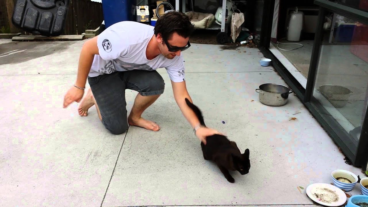 Spanking The Pussy