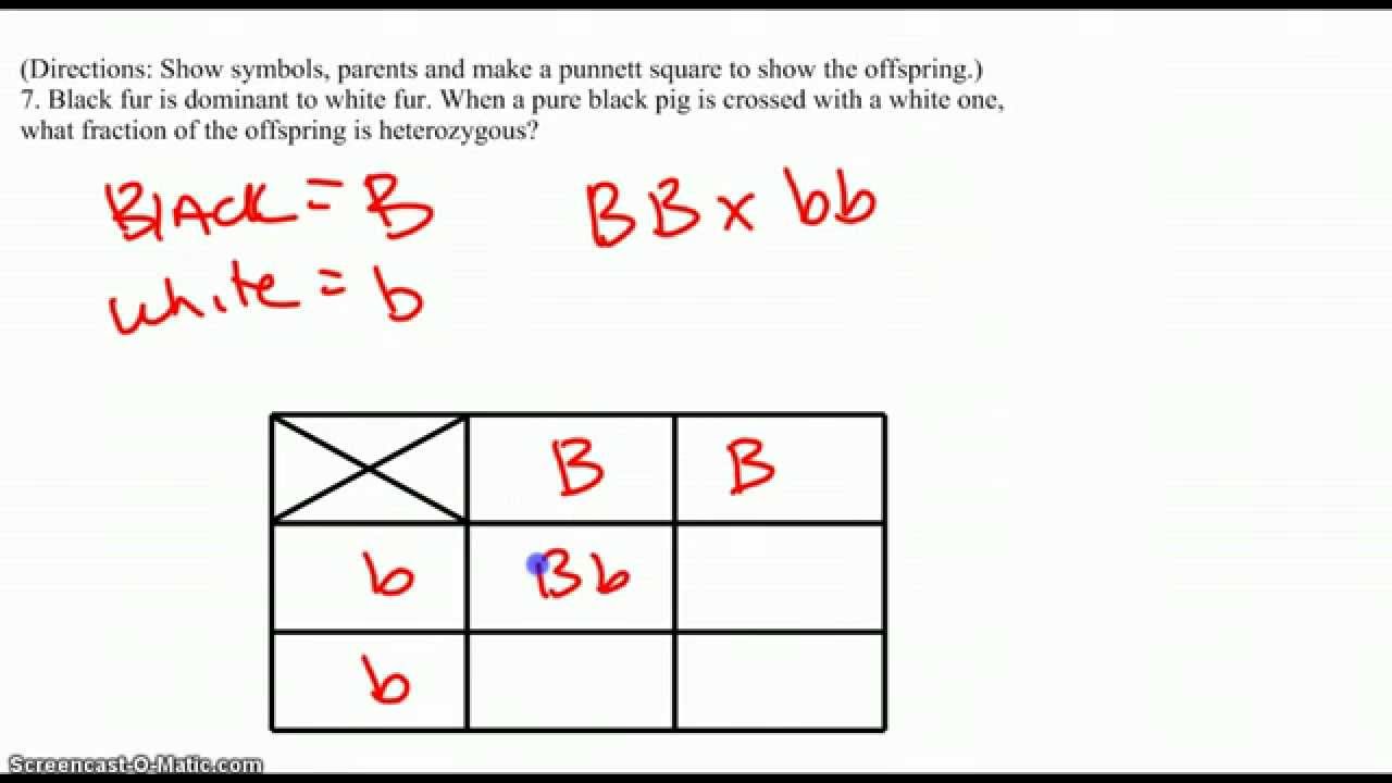 8 Q Monohybrid Problems (14:20)