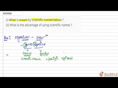(i) What is meant by scientific nomenclature ? (ii) What is the advantage of using scientific na...