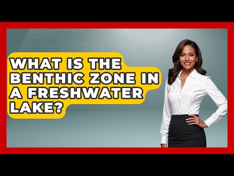 What Is The Benthic Zone In A Freshwater Lake? - The Geography Atlas