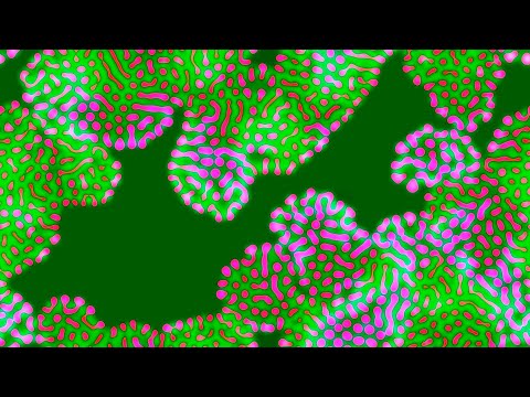 Even more explorations with Multiple Neighborhoods Cellular Automata ...