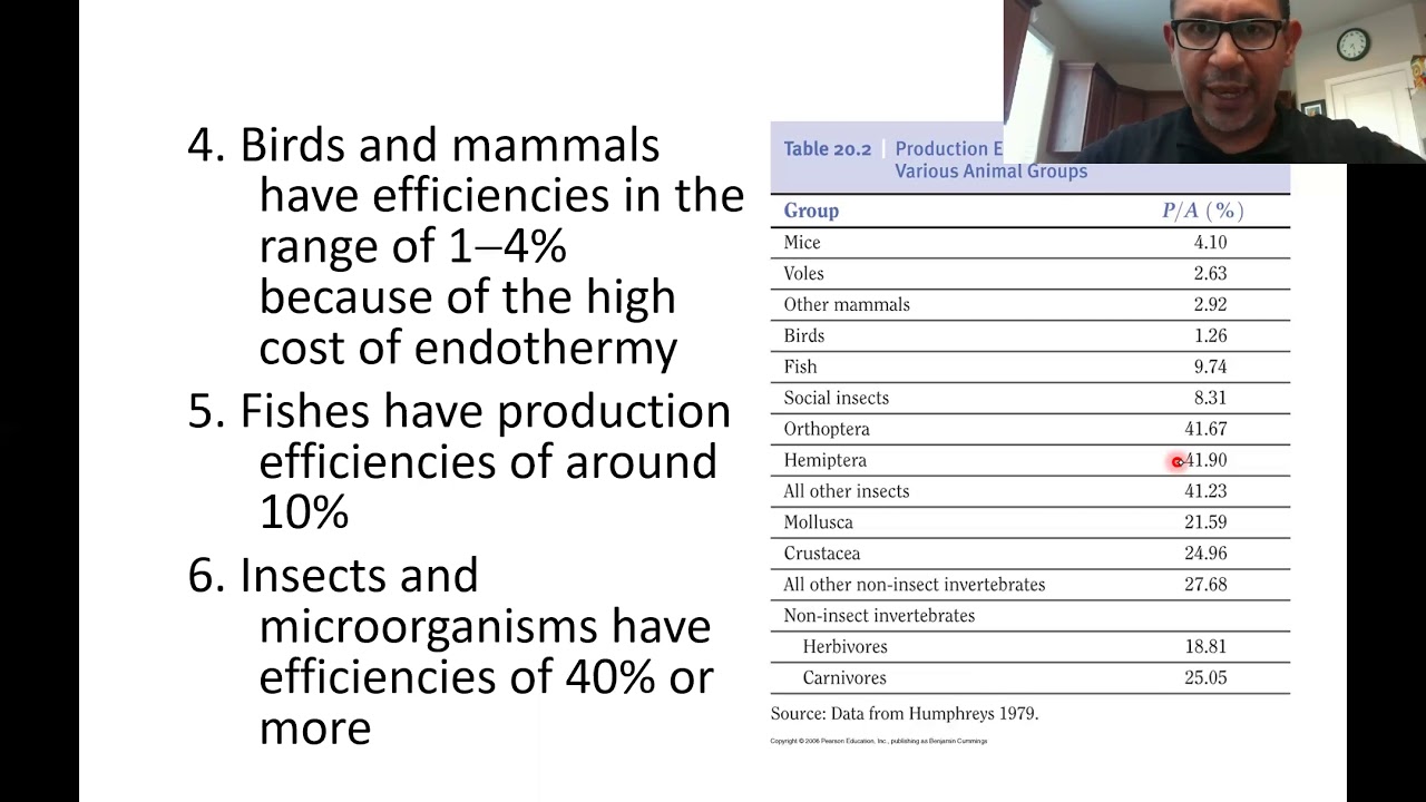 Ecosystem Secondary Production