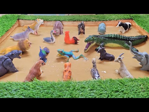 Gooey Good Times: Learning Nocturnal Animals & Diurnal Animals Facts with Fun!