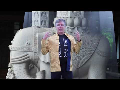 Learn Mandaring from Tian Laoshi: Elephant Graveyard Part 2 discusses research into dying elephants