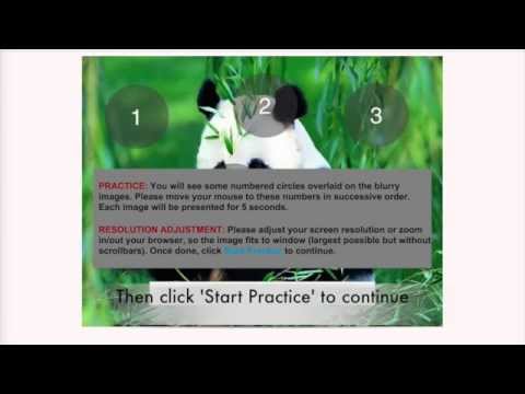 MTurk HIT Video Instruction