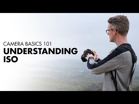 Understanding ISO - Camera Basics 101