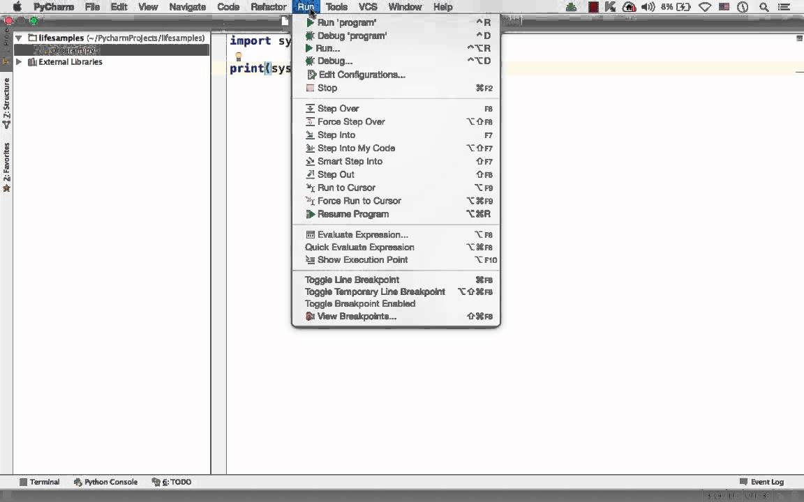 Checking The Python Version We Are Using
