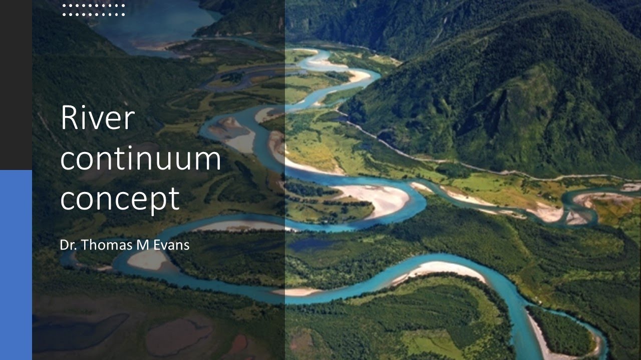 19 River continuum concept