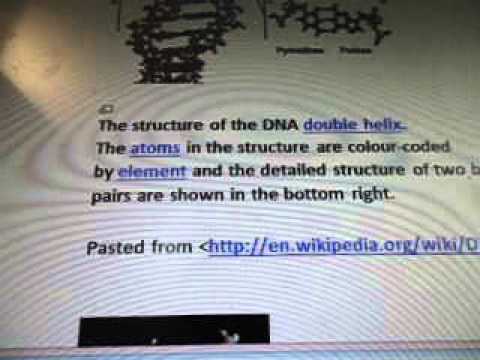 Line 25a7 Alien Vs Human DNA Double Helix Strands Atoms Hydrogen Bonds ...