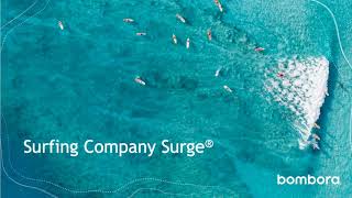 Company Surge Analytics Software - 2025 Reviews, Pricing & Demo