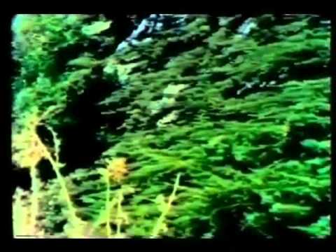 Mission Mind Control Documentary | Derin İstihbarat