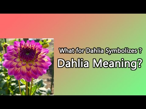 Dahlia Flower-Inspired Baby Names You’ll Fall in Love With | Trending 2025 Picks