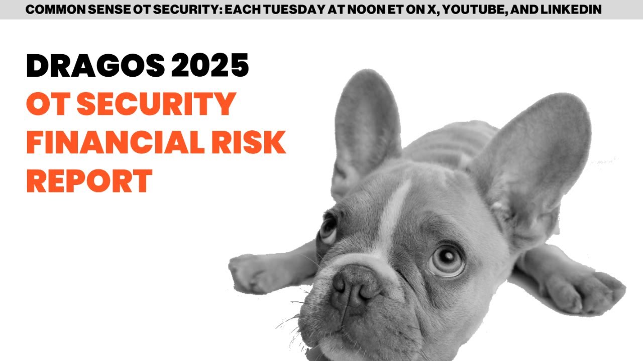 Dragos 2025 OT Security Financial Risk Report