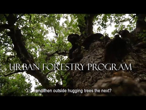 Urban Forestry Program Coordinator, Paul Johnson, Texas A&M Forest Service