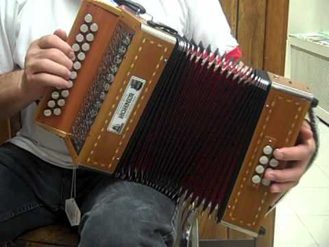 NEW Hohner Morgane 2 Row Gaelic Breton Celtic Diatonic Button | Reverb