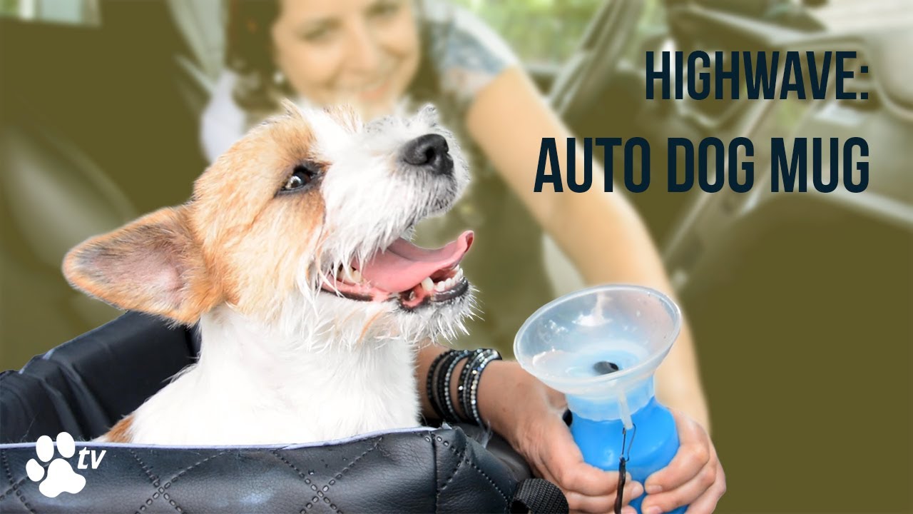 Highwave: Auto Dog Mug | TRANSGROOM