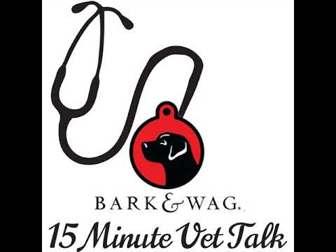 What is Canine Distemper?