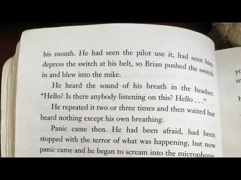 Hatchet Chapter 2 Read Aloud