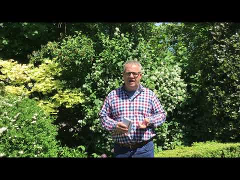 Parish Video Letter by Tim Clapp | Itchen Valley Churches
