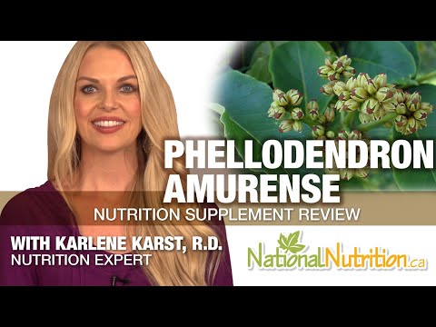 Phellodendron Amurense: Health Benefits From National Nutrition ...