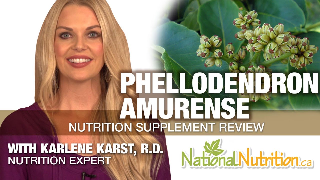 Phellodendron Amurense for Osteoarthritis - Supplement Review | National Nutrition Canada