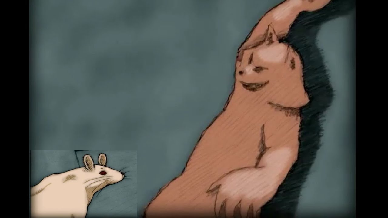 El Ratón y el Gato 🐁🐈 Corto Sicológico