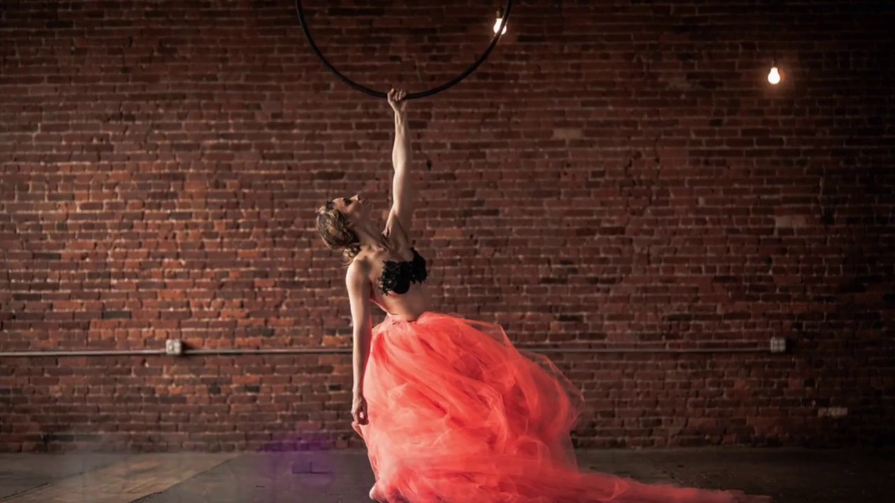 Hire Inverted Aerial - Aerialist in New York City, New York