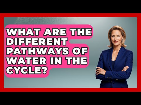 What Are The Different Pathways Of Water In The Cycle? - Weather Watchdog