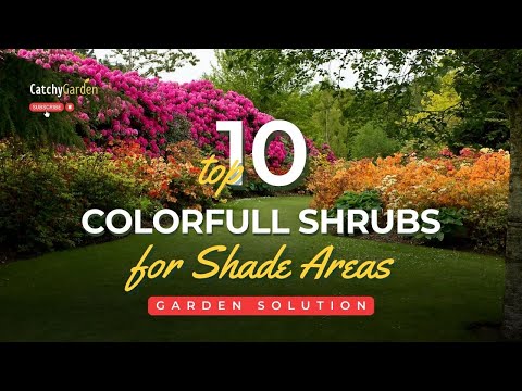 10 Shrubs That Will Add Color and Thrive in the Shade 🌸🌳🌷 // Gardening Tips