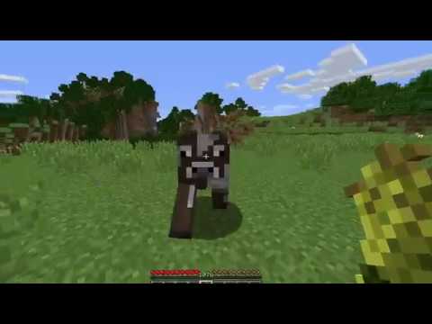 Steam Community :: Video :: Minecraft - Grass Simulator