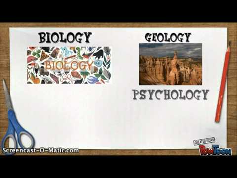 Common Word Study: logy