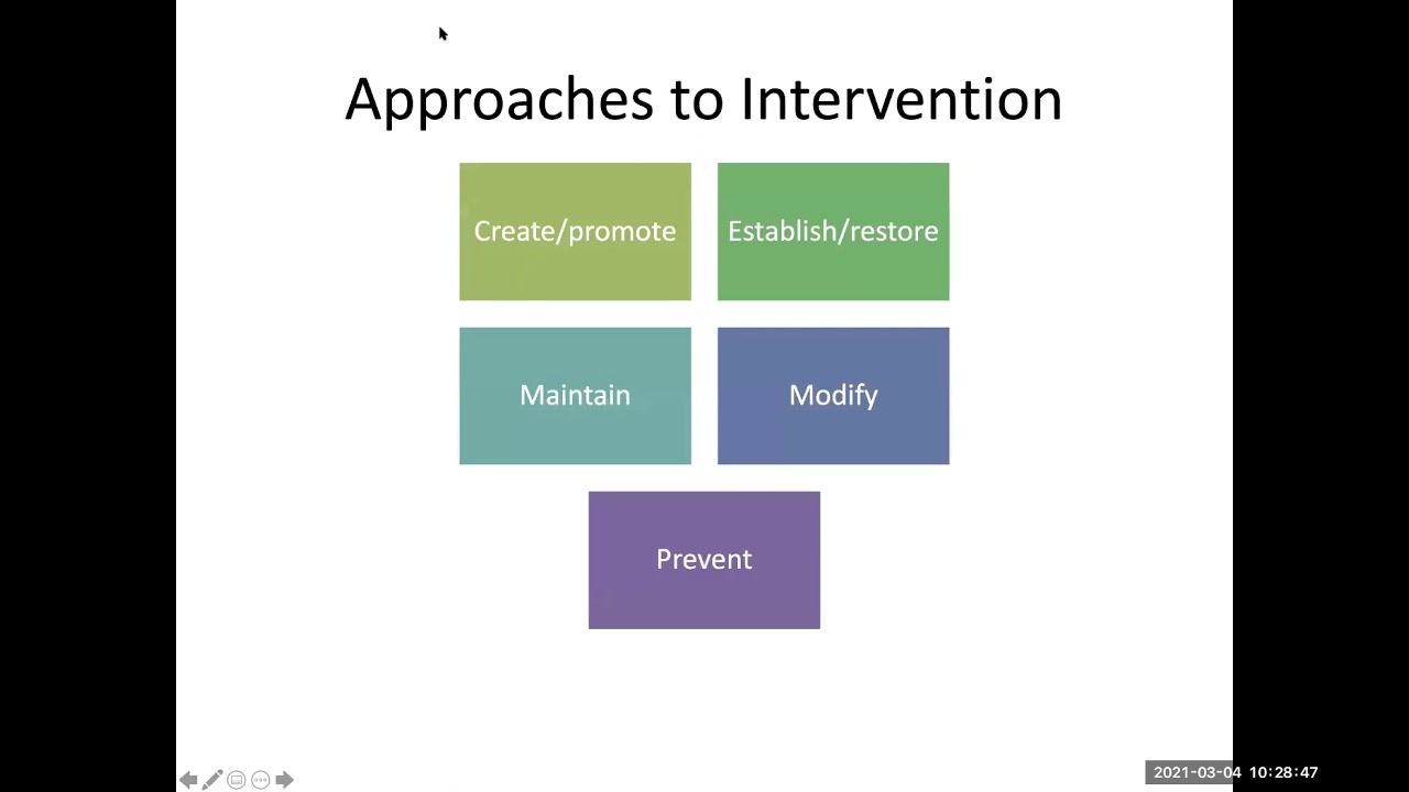 The OT Process & Activity Analysis - OT 425 (2021)