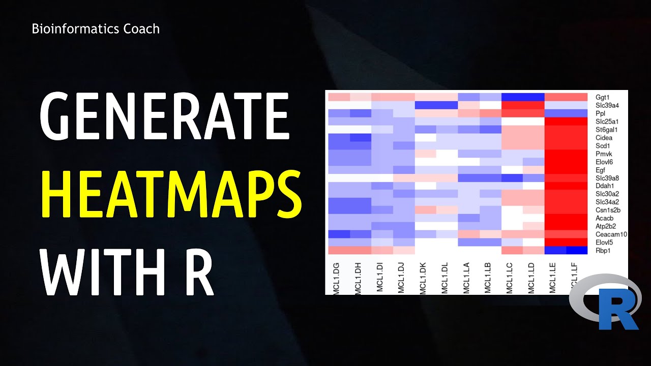 R Tutorial for Bioinformatics - Beginners Edition - Heatmaps for RNA Seq Gene Expression Analysis