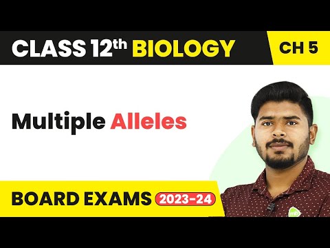 Multiple Alleles - Principles of Inheritance and Variation | Class 12 (2022-23)
