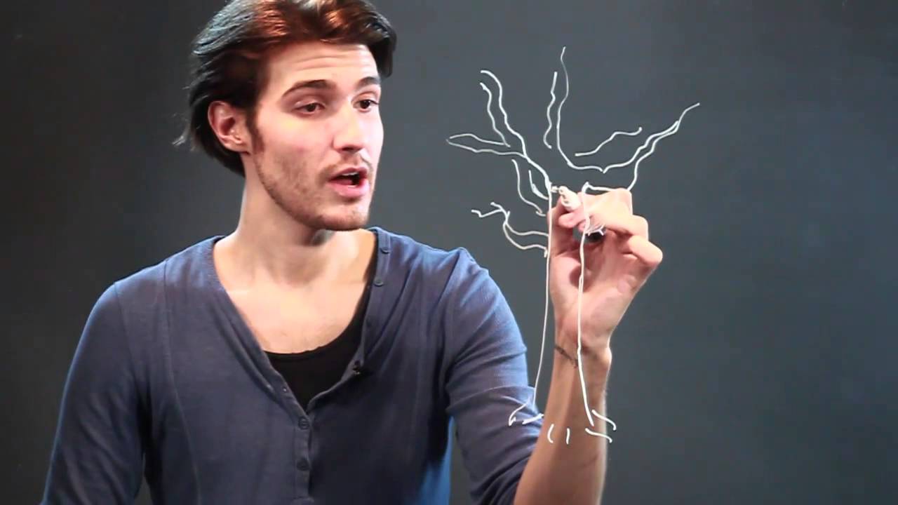 How to Draw the White Birch Tree