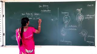 Adithya Vidhya Niketan School 12th Biology Classes Watch HD Mp4 Video ...