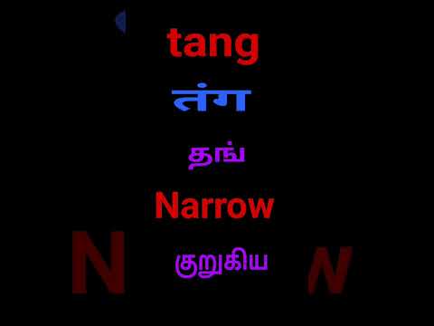 spoken hindi through english and tamil word tang and dang