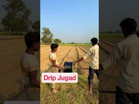 Drip line Jugad | Drip Installation | Drip Irrigation | ठिबक संच जुगाड