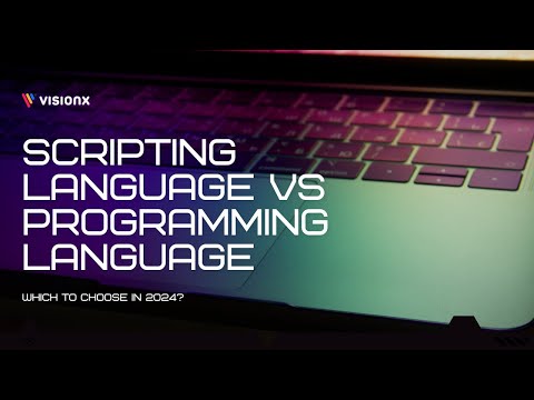 Scripting Language vs Programming Language | VisionX