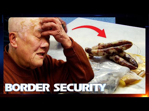 Sydney Airport Customs DISCOVER Hidden Sausages in Luggage | Border Security Australia
