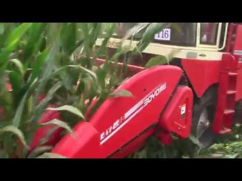 Maize Harvester at Best Price in India