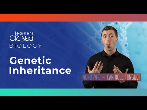 Genetic inheritance