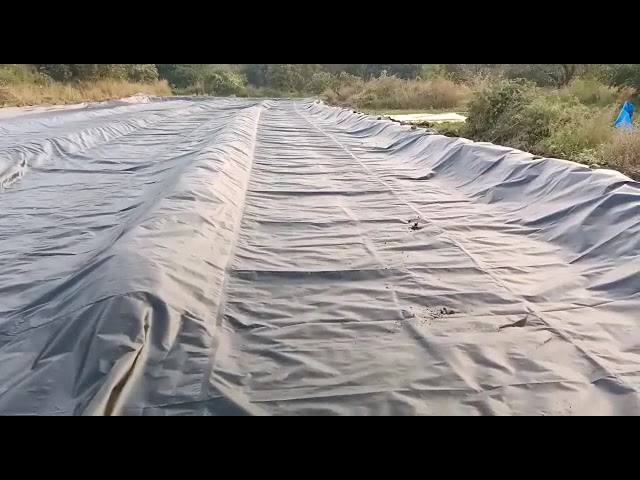 LDPE Tarpaulin - Recycle Ldpe Polythene Sheet Manufacturer from Pune