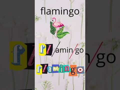 Words that begin with fl