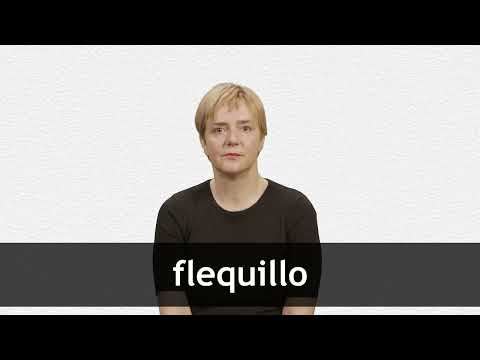 English Translation of “FLEQUILLO” | Collins Spanish-English Dictionary