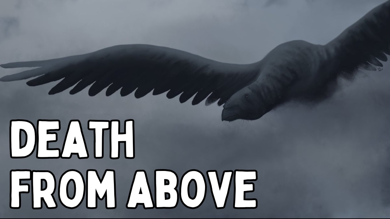 The Largest Bird To Ever Fly